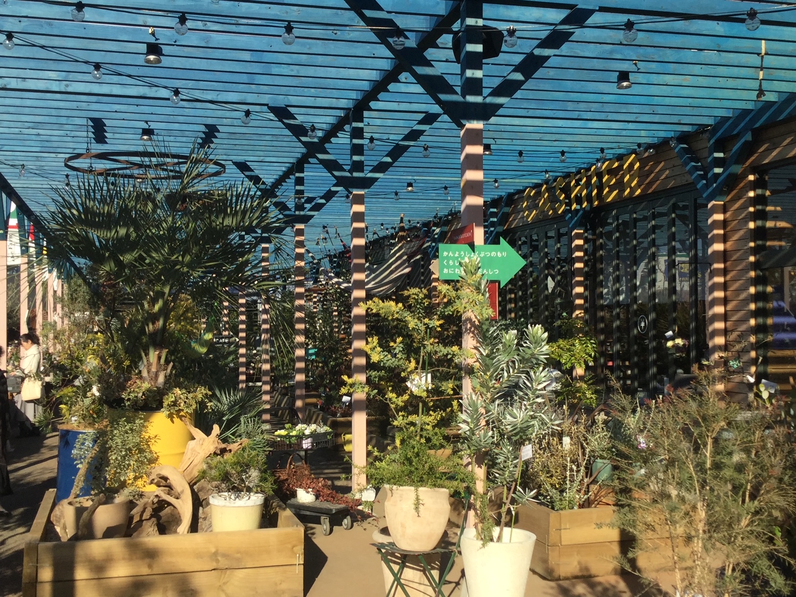 【影師 / KAGESHI】影絵が映し出される昼と夜の世界-すとりっぷノート | すとりっぷ