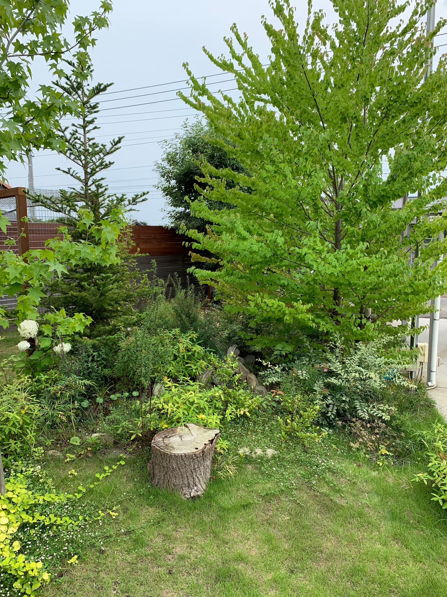 【影師 / KAGESHI】流れを意識した光と影！A様邸屋外ライトアップ | すとりっぷ