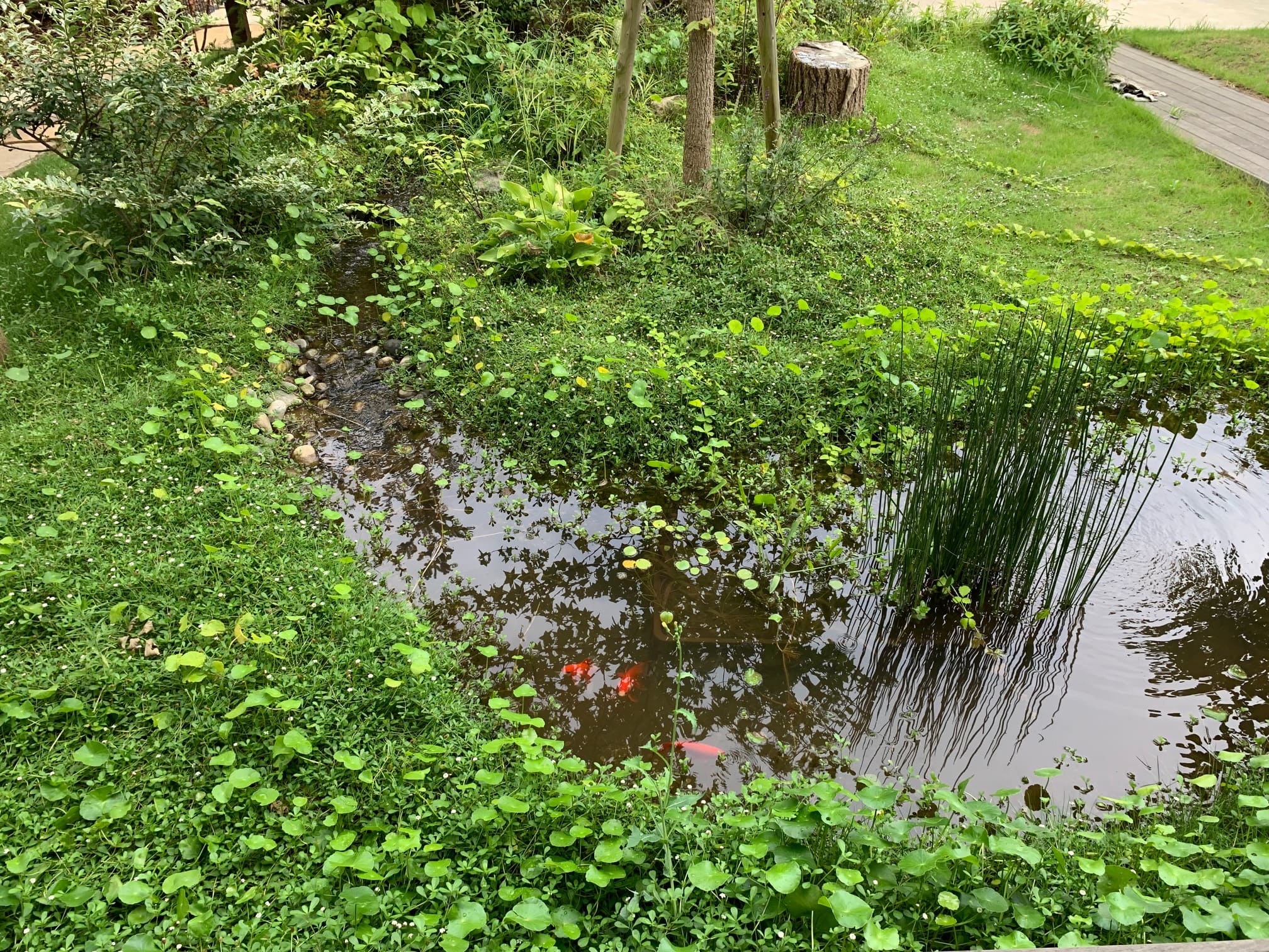 【影師 / KAGESHI】流れを意識した光と影！A様邸屋外ライトアップ | すとりっぷ